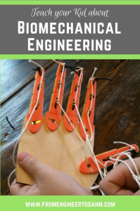 Teach Your Kid about Biomechanical Engineering - From Engineer to Stay ...